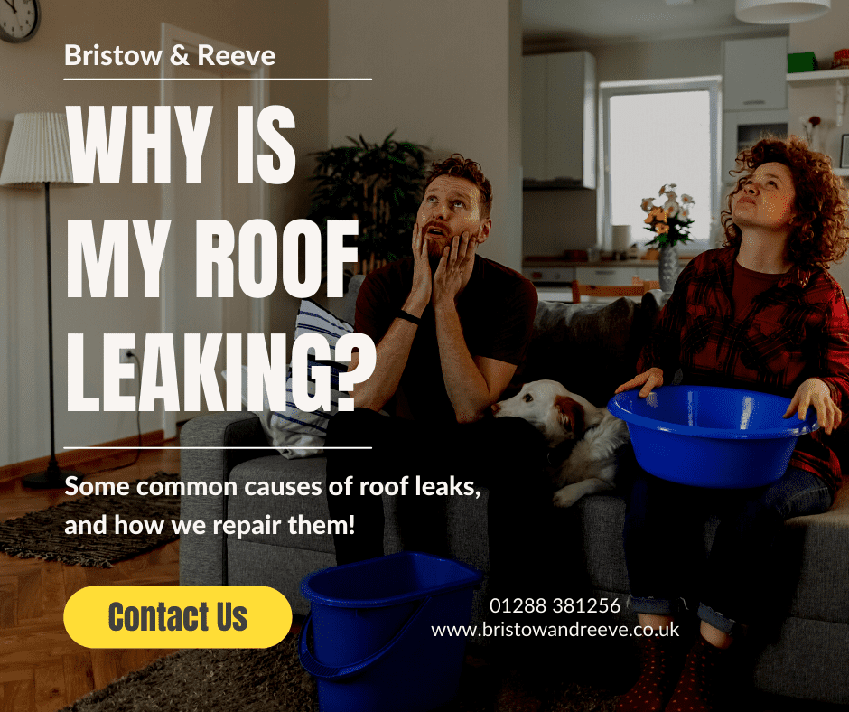 Leaky Roof Memes How To Find A Leak In The Roof Imgflip